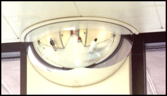 18" Diameter Acrylic 180 Degree 1/2/ Dome Mirror